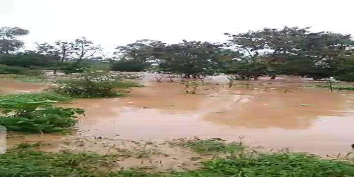 Massive Flood left Over 20 People Death In Uganda – ekcolab